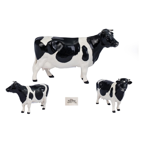 Beswick Hand Painted Cow Figure - Freisan Cow Claybury Leegwater. Model ...
