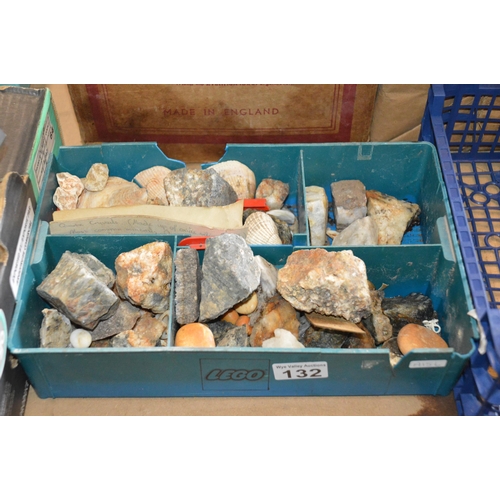 box of rocks and shells