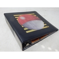 Pokemon: 1999 A-Z of Holo Cards (69) in POG Ring Binder (Replica Cards)