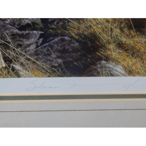 Steven Townsend b.1955- "Our Valley" Limited Edition No. 579/675 Signed ...