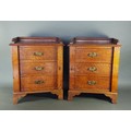 A pair of early 20th Century oak Wellington style collectors chests ...