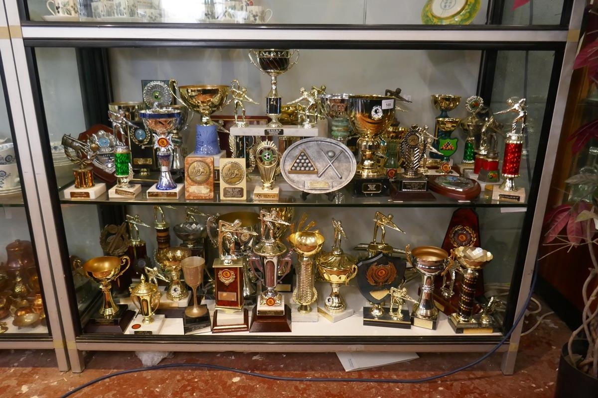 Huge collection of trophies