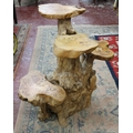 Tree root display stand