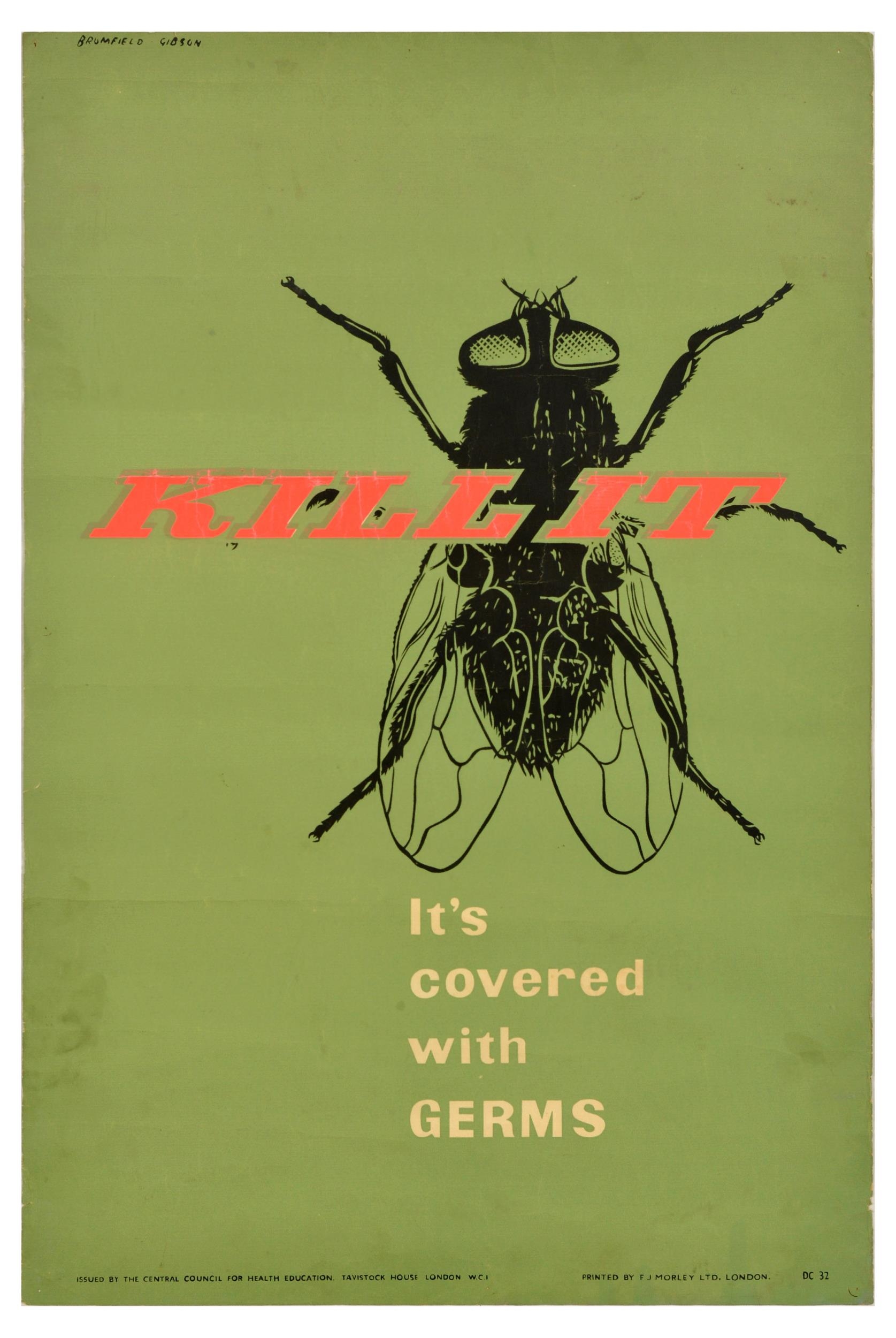 Propaganda Poster Kill It Fly Germs Health Education Hygiene. Original ...
