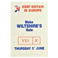 Propaganda Poster Wiltshire European Union Referendum. Original vintage ...
