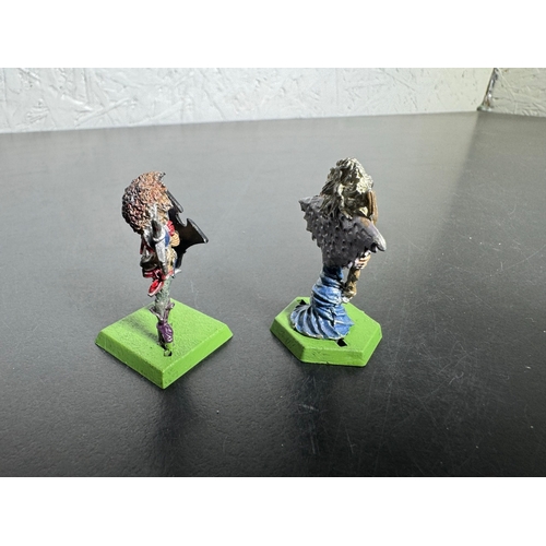 Citadel Miniatures LE15 Chaos Amazon Wizard and the Warlock from the ...