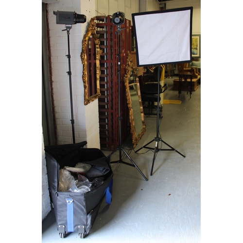 Three Interfit Stellar 300 Photography Flash Lights in Carry Bag