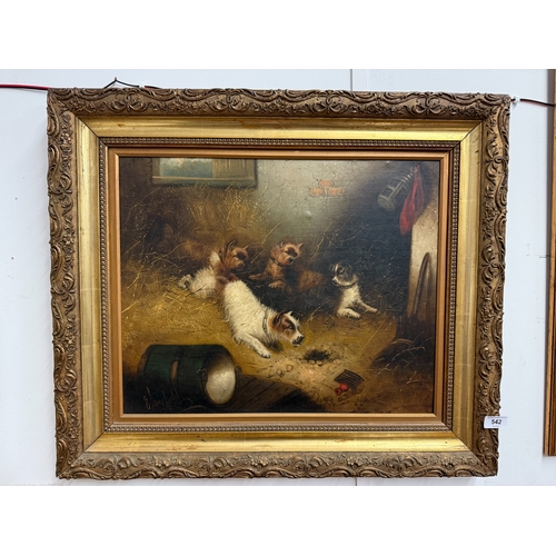 Edward Armfield (1857-1935) Oil on Canvas depicting Terriers Hunting ...