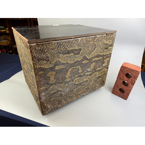 Large Rowland Ward Taxidermy Snake Skin Box Approx. L 44cm W 33cm H 39cm
