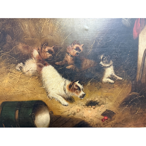 Edward Armfield (1857-1935) Oil on Canvas depicting Terriers Hunting ...
