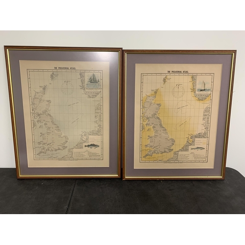 Two vintage framed maps (one glazed) 'The Piscatorial Atlas', 'Cod' and ...