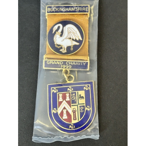 A vintage Masonic undress collar with apron marked 'Assistant' to ...