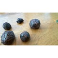 5 large specimen Garnets