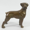 A bronze figure of a boxer dog, 19cm x 15cm.