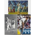 Three signed photographs of England cricketers, Alec Bedser, David ...
