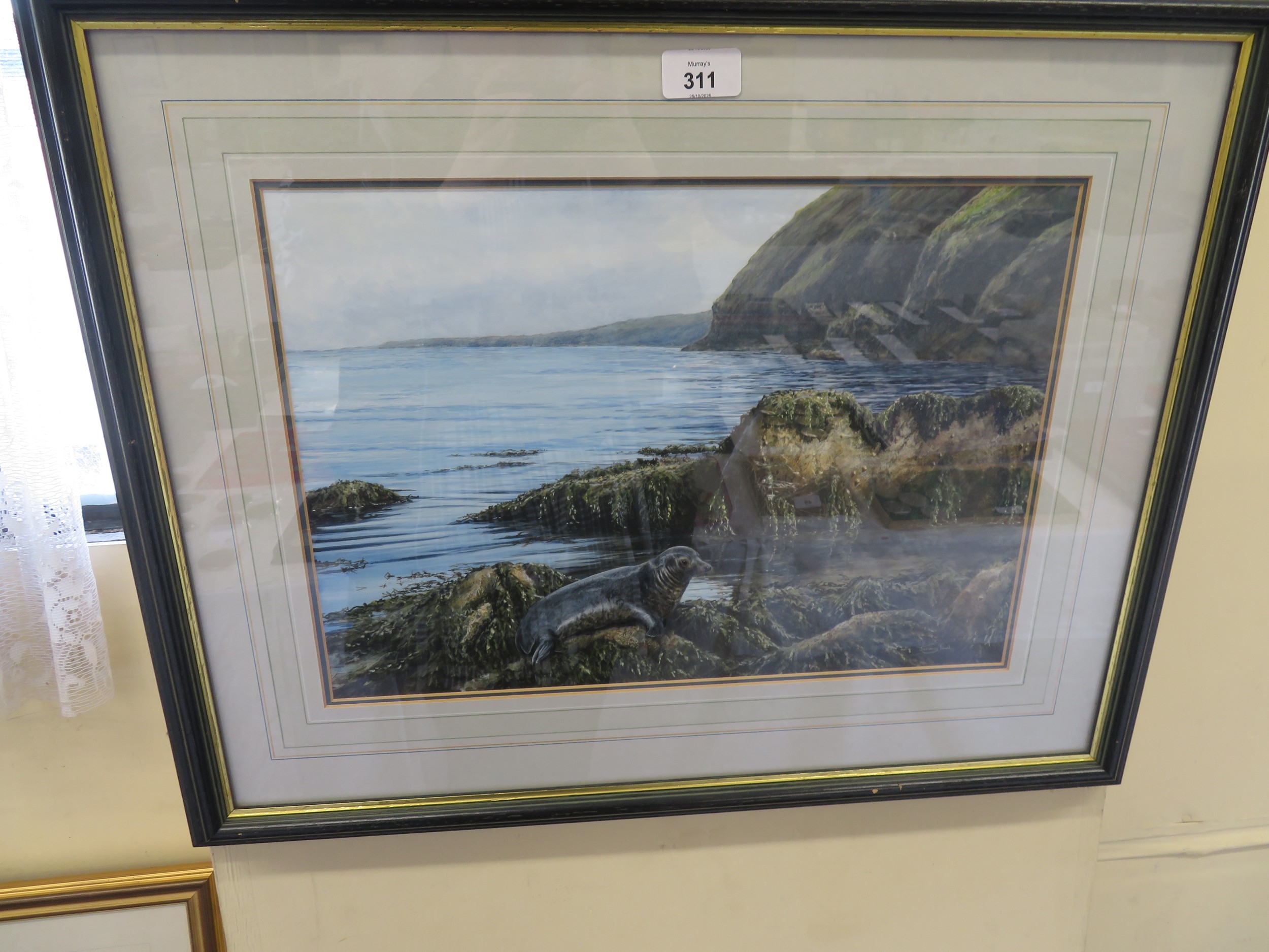 Jeremy Paul, Gouache, seal pup on the rocks, signed, well framed