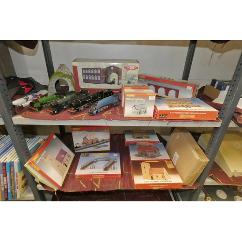 A collection of Hornby model locomotives and other Hornby railways ...