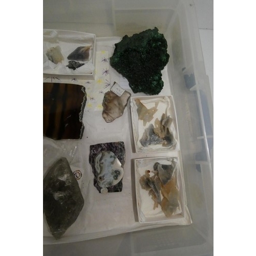 A box of minerals and fossils including Chalcedon, Calcite, Iceland spa ...