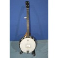 1 x Remo weatherking 4 string banjo, comes with hard carry case