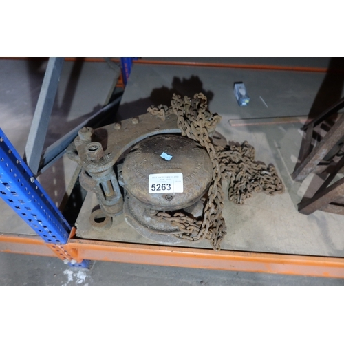 1 x chain lifting block