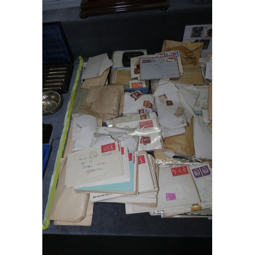 A large collection of miscellaneous albums and collector's loose stamps ...