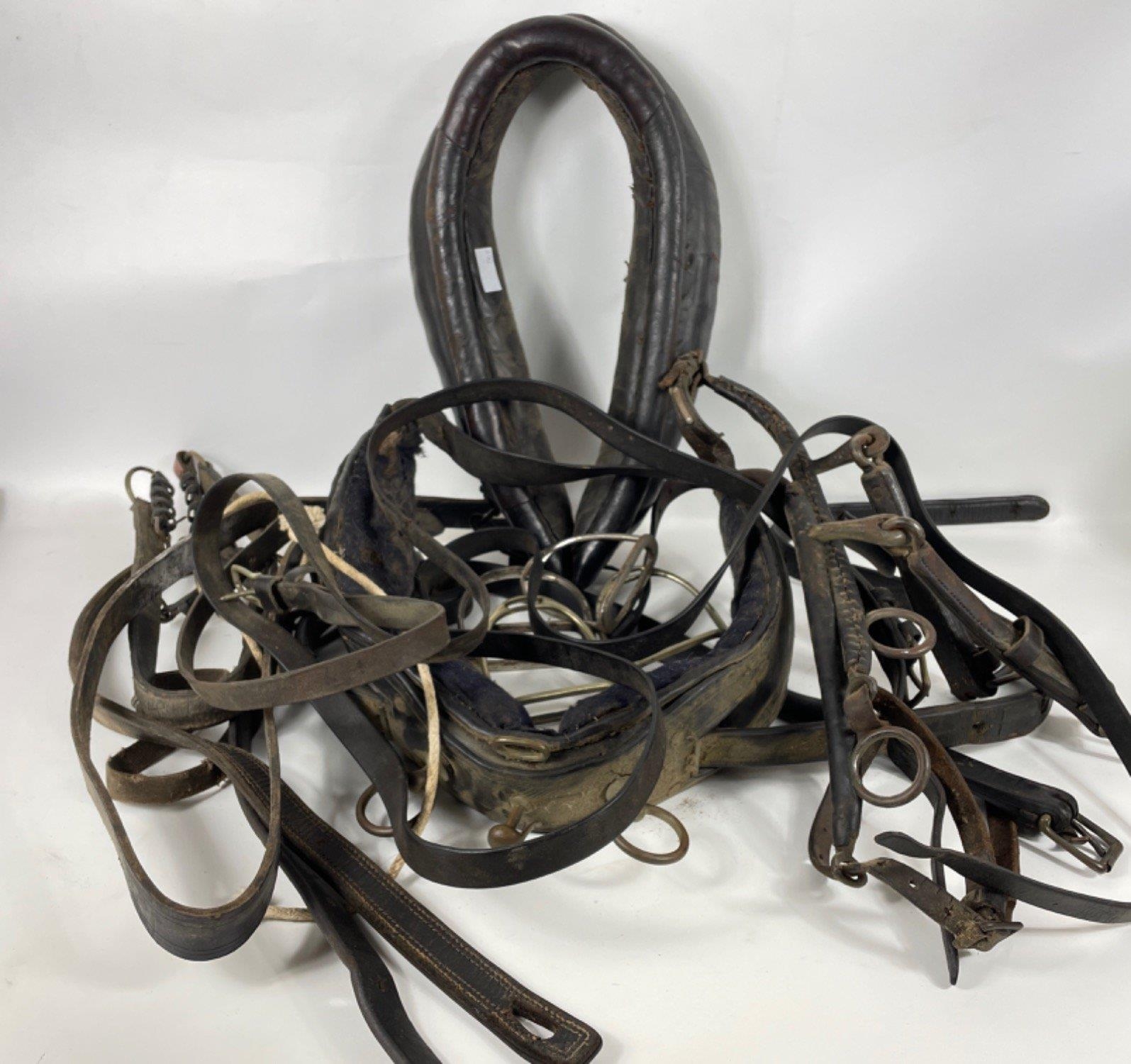 A box full of donkey tack to include 2 working donkeys collars (donkeys ...