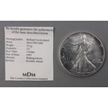 1995 Walking Liberty 1 oz Silver Dollar in 999 Silver. BU.#255