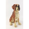 A large resin boxer dog figure, stands 33cm tall approx. No damage#129