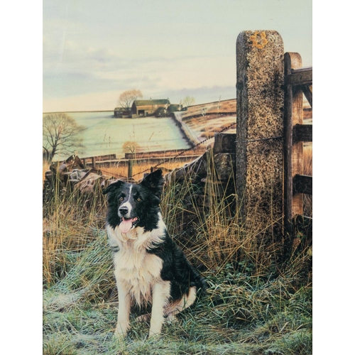 STEVEN TOWNSEND (b.1955) ARTIST SIGNED LIMITED EDITION COLOUR ...