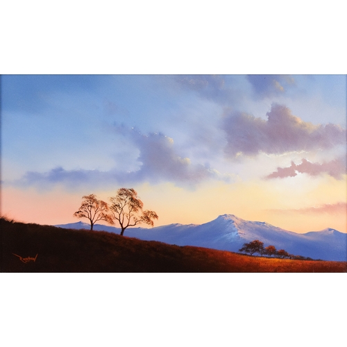 DAVID RENSHAW (Contemporary)OIL PAINTING ON BOARDLandscape at ...