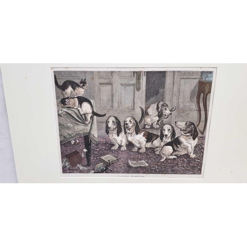 LOUIS WAIN 1884; 19THC COLOURED ENGRAVING, INSCRIBED ''A NEW DOG FANCY ...