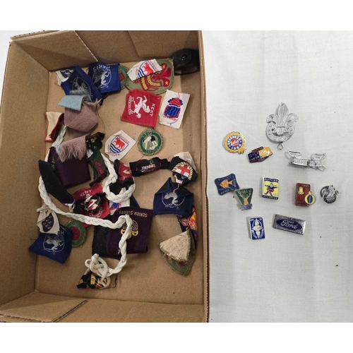 SMALL TRAY OF MISC BOY SCOUT & SCOUT BADGES IN CLOTH & METAL