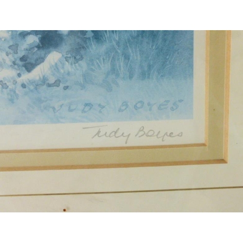 A Pair of Judy Boyes Limited Edition signed prints