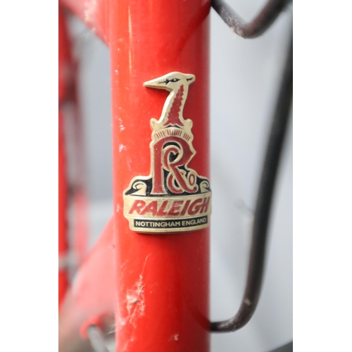 Raleigh Firefly 18 Speed Gents mountain bike