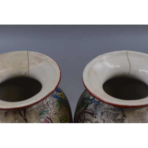 A Pair of 1920's Handpainted Corona Ware Rosetta Vases, With Matching ...