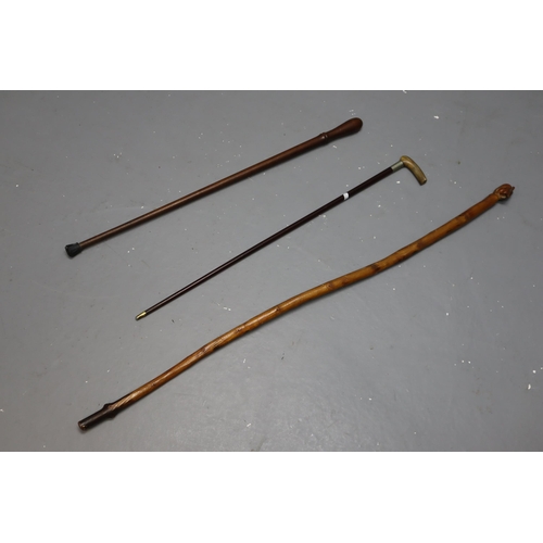 A walking Staff and two Walking Sticks one with Silver Collar