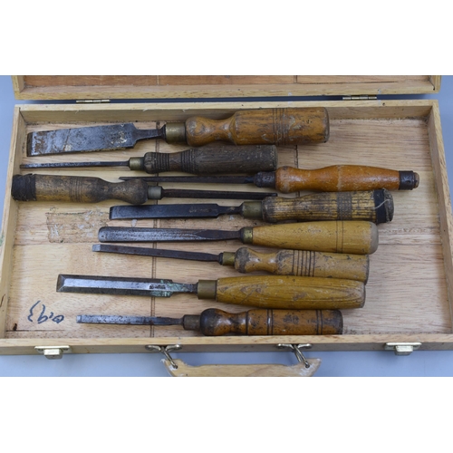 9 x Wood chisels in various sizes in a wooden box