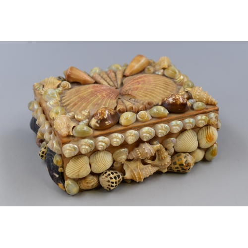 Vintage Shell Jewellery Box with Some Necklaces Inside