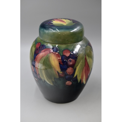 Moorcroft Grape and Leaf Pattern Ginger Jar a William Moorcroft Design ...