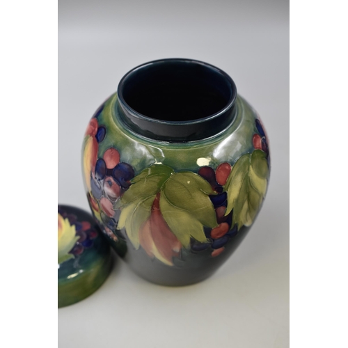 Moorcroft Grape and Leaf Pattern Ginger Jar a William Moorcroft Design ...