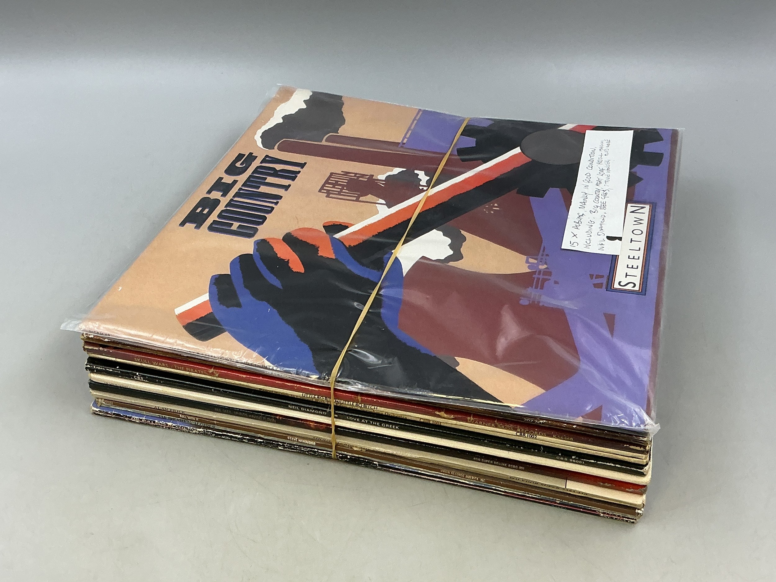Fifteen Pre Owned Vinyl Albums including Big Country, Meat Loaf, Neil ...