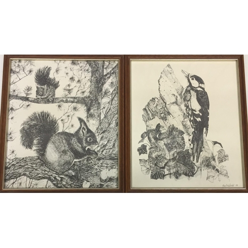 Two framed wildlife ink drawings. Ray Schofield 'Great Spotted ...