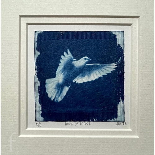 Jane Spink (Artist, printmaker and author based in the UK. Inspired by ...