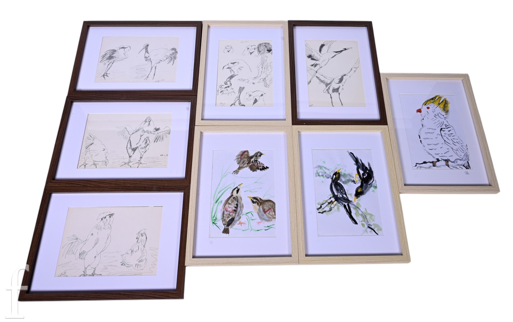 Kathy Burleigh - Bird Studies - A collection of ink drawings and ...