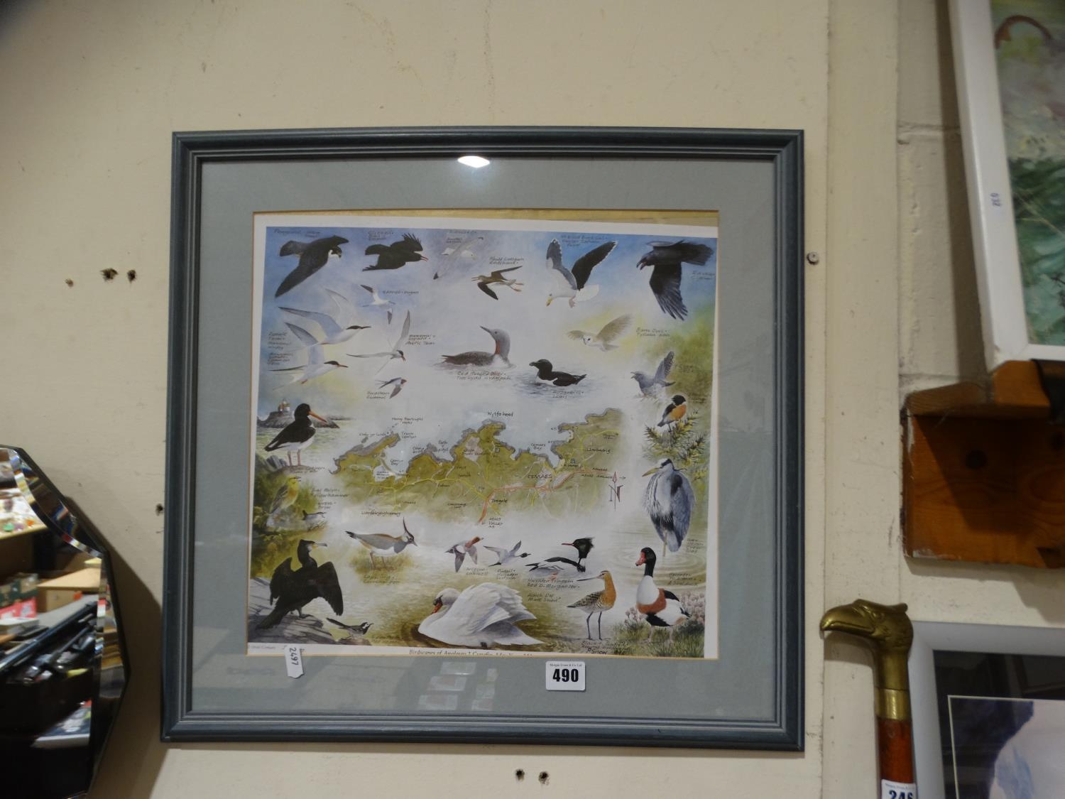 Philip Snow, A Limited Edition Anglesey Bird Print