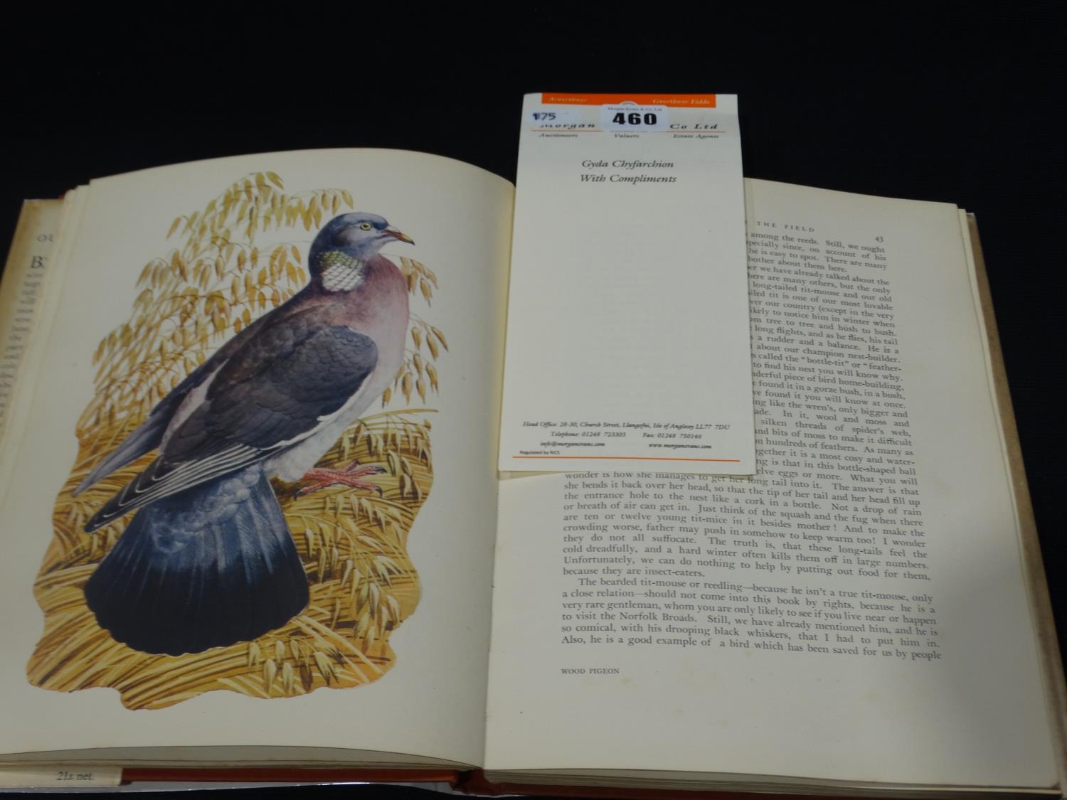 Antiquarian Book, "Our Bird Book" By Sidney Rogerson & Charles ...
