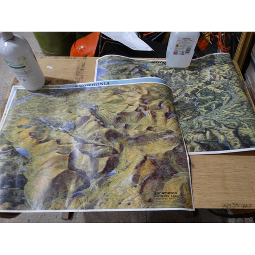 Four Panoramic Relief Maps Of Snowdonia