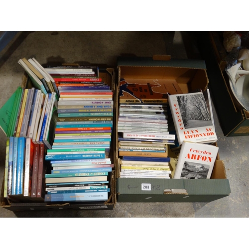 Two Boxes Of Welsh Books