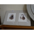 Philip Snow, Two Unframed Limited Edition Prints Of Birds Of Prey