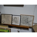 Three Framed Old County Maps